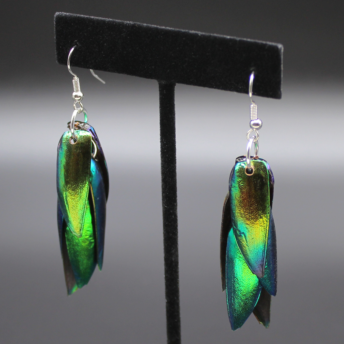 Beetle Wing Earrings (Golden Green) - GaleForce Design Jewelry